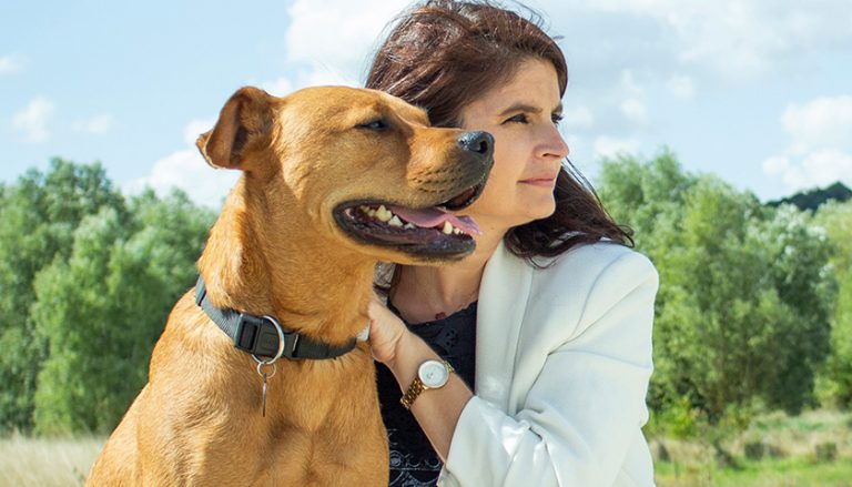 Tennessee Star Newspaper, Nashville TN Local News, Latest Business ...