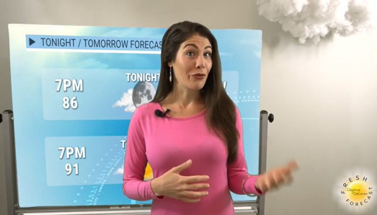 Tennessee Star Newspaper, Nashville TN Local News, Latest Business ...