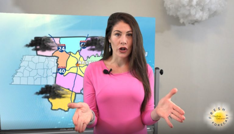 Tennessee Star Newspaper, Nashville TN Local News, Latest Business ...