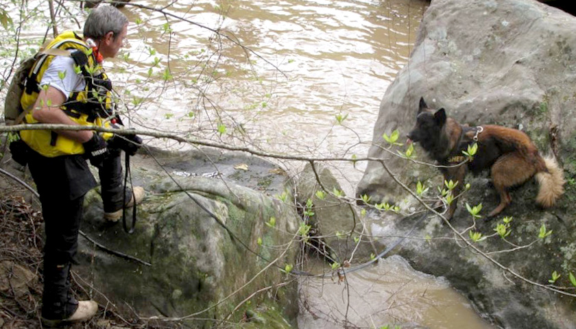 Memphis Canine Search Team Deployed to Texas to Assist with Rescue ...