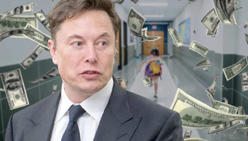 Musk Foundation Offers $6 Million Donation to Fund Repairs, Support ...