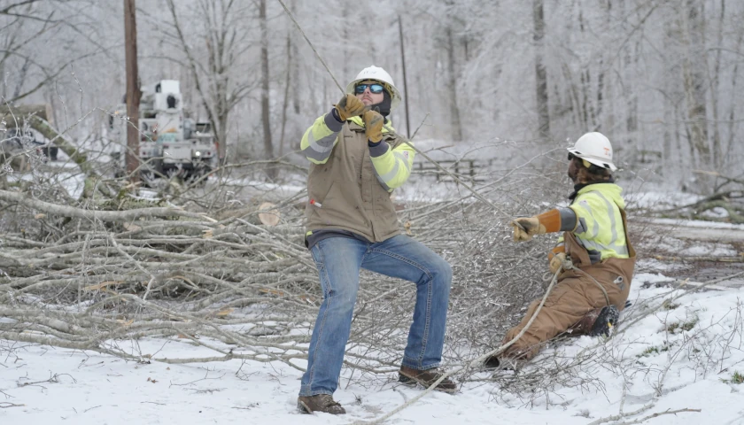 Reporter Slams Nashville Electric Service, Democratic Leadership in ...